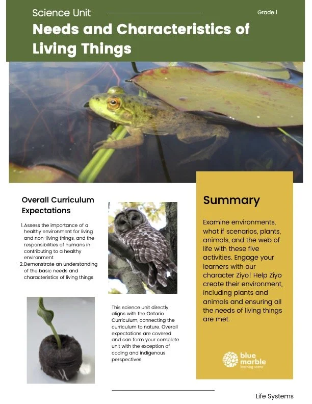 blue marble learning scene store