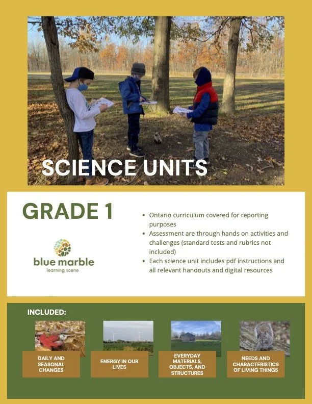 blue marble learning scene store