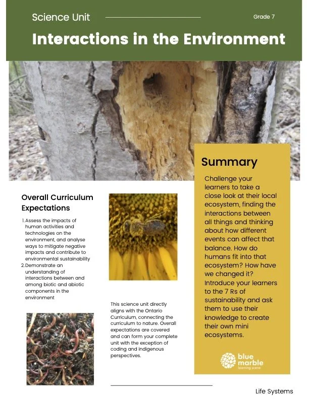 Interactions In The Environment