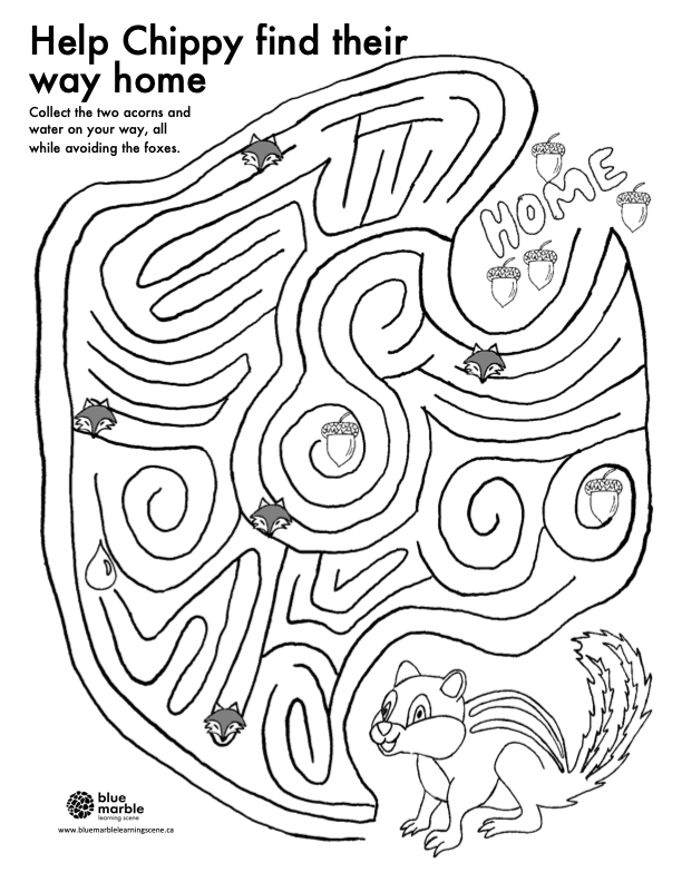 blue marble learning scene