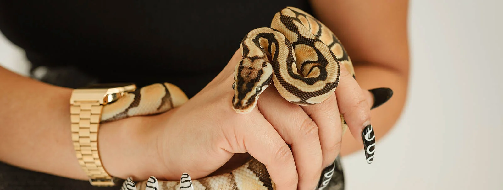 Bio — Rocky Rivera