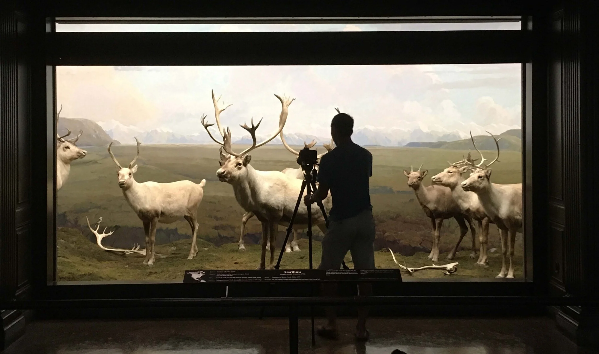 Beyond The Diorama - Museum VR Experience — Rong Deng - Game Designer ...