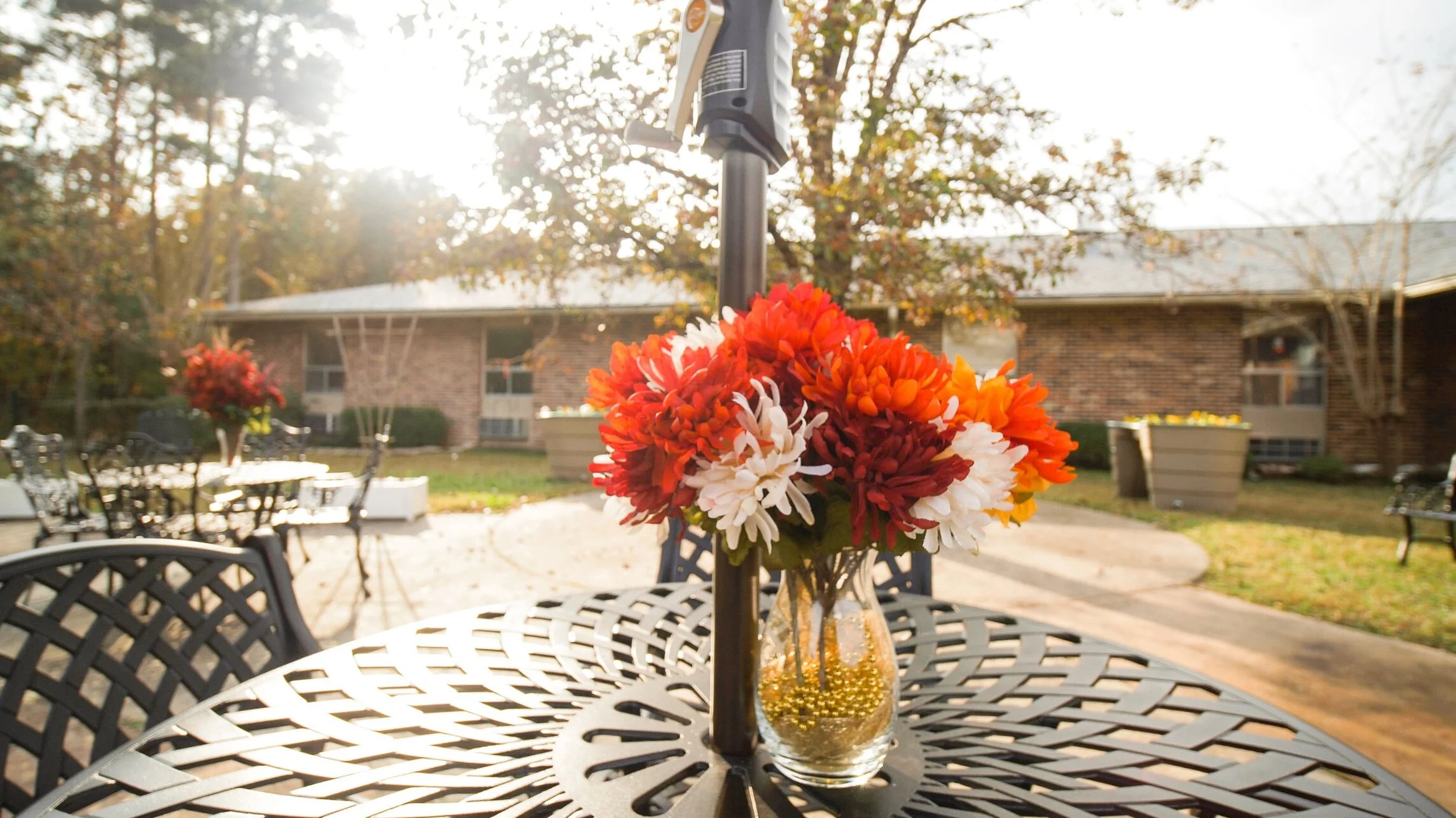 Assisted Living — Trinity Village