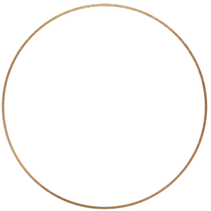 Top 6 Best Signature Fonts in Canva — The Humanista Co.