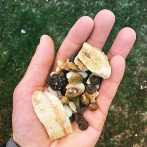 20 Homemade Cycling Snacks + Recipes to Fuel Your Next Ride — Biked Goods