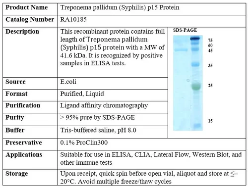 Treponema pallidum (Syphilis) Recombinant Proteins – p15, p17, p47 ...