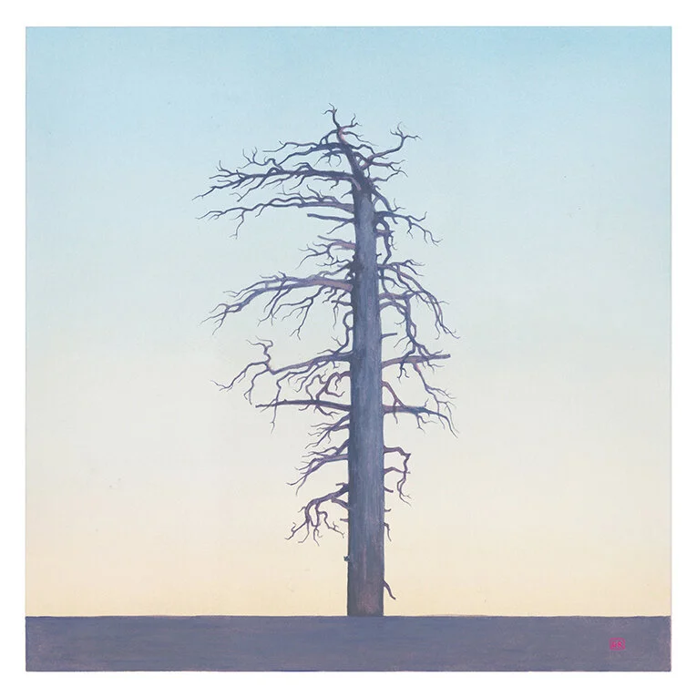 Angeles Forest Bonsai - works on paper — Greg Rose