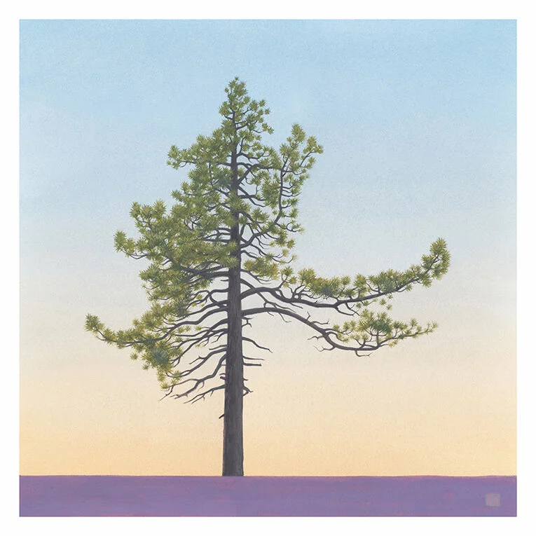Angeles Forest Bonsai - works on paper — Greg Rose