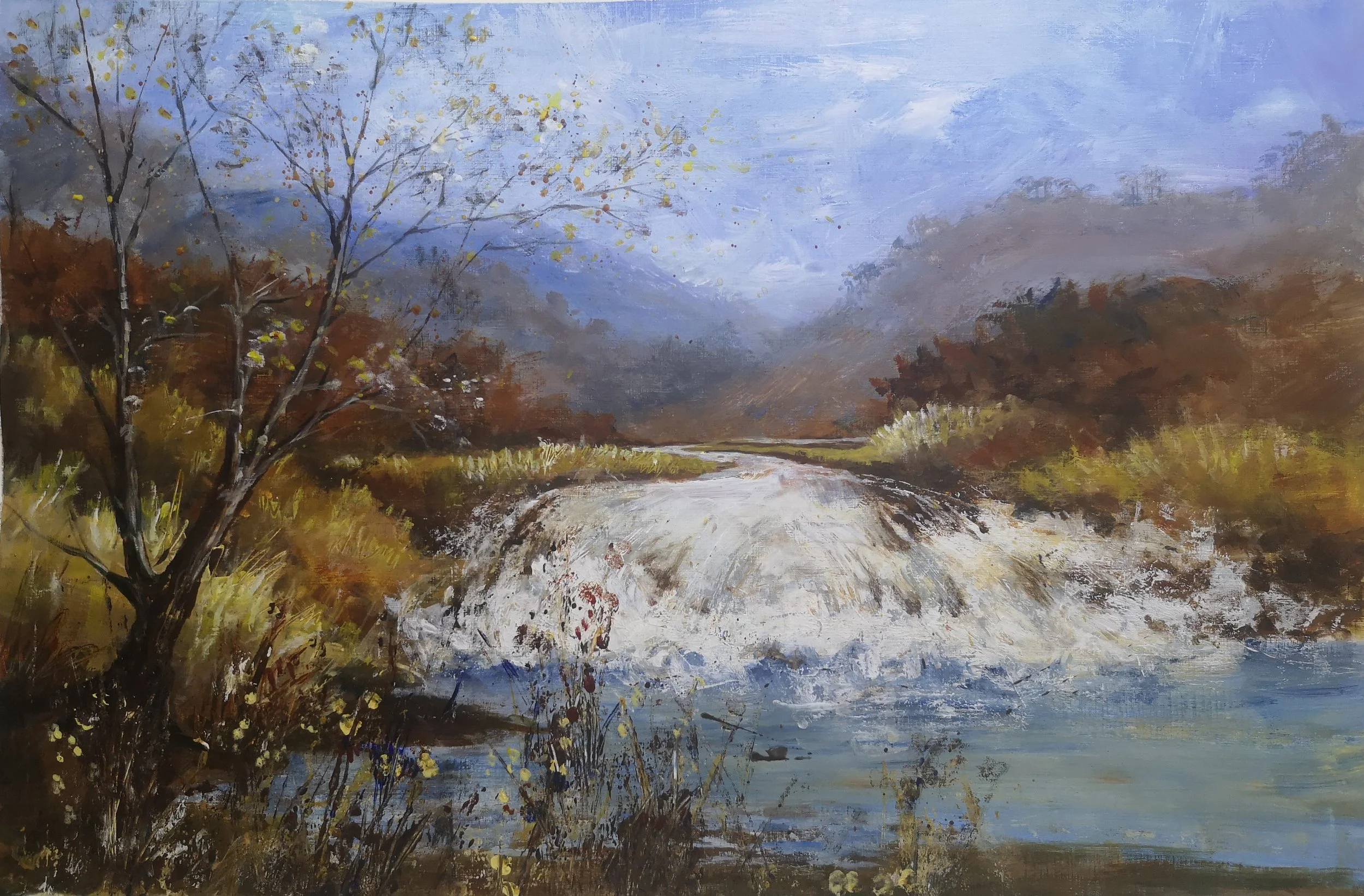 Denise Allen Fine Art