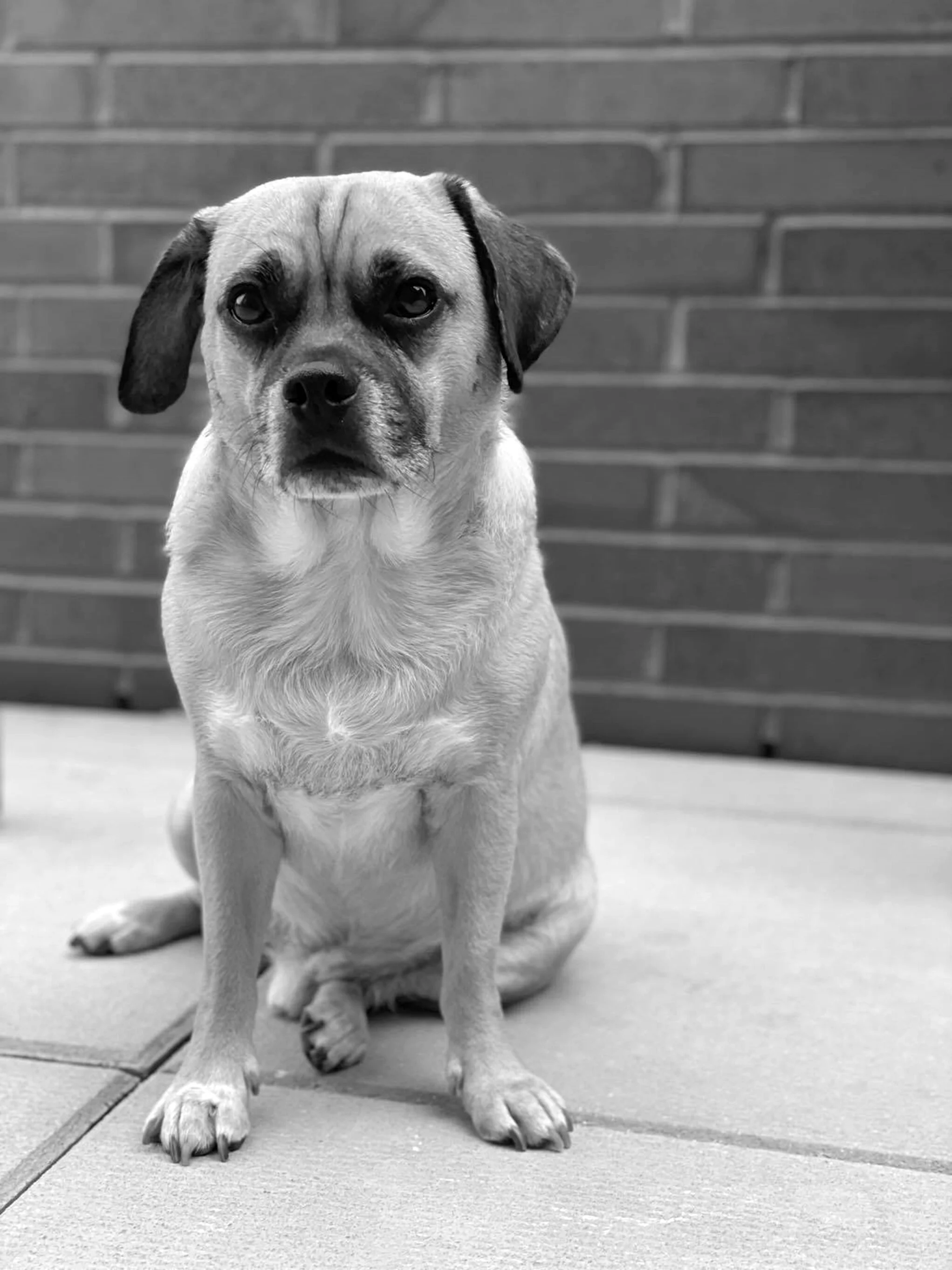 Our Team — Moment Physical Therapy and Performance