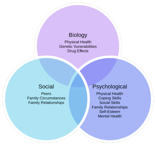What is the biopsychosocial model and how it is relevant to physical ...