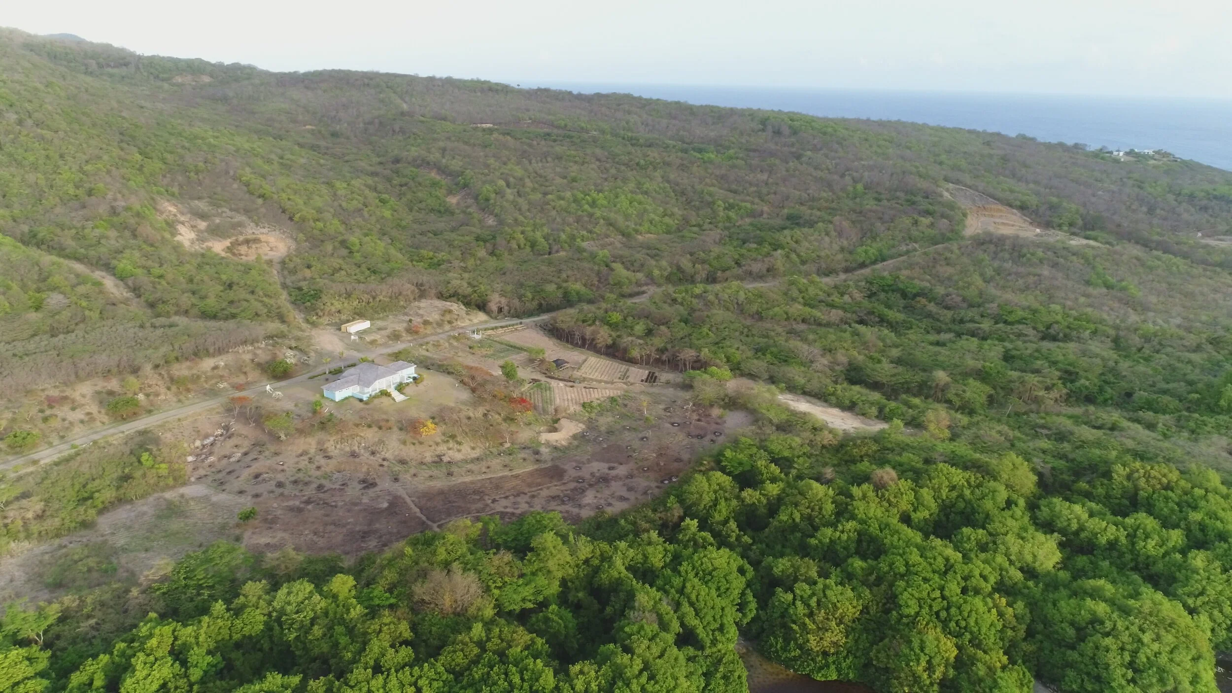 Levera — Grenada Land Actors