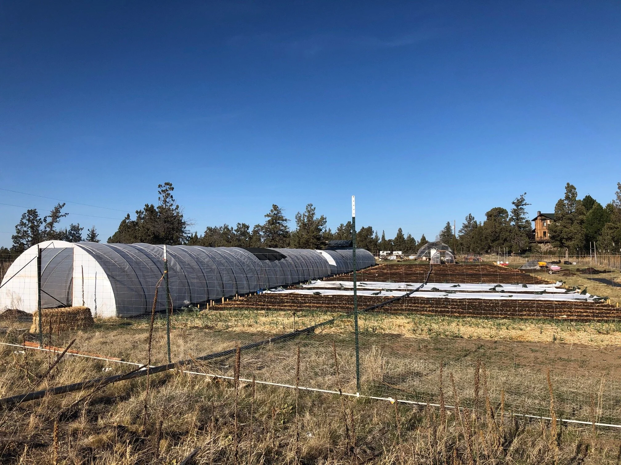 Fibonacci Farm, Redmond OR