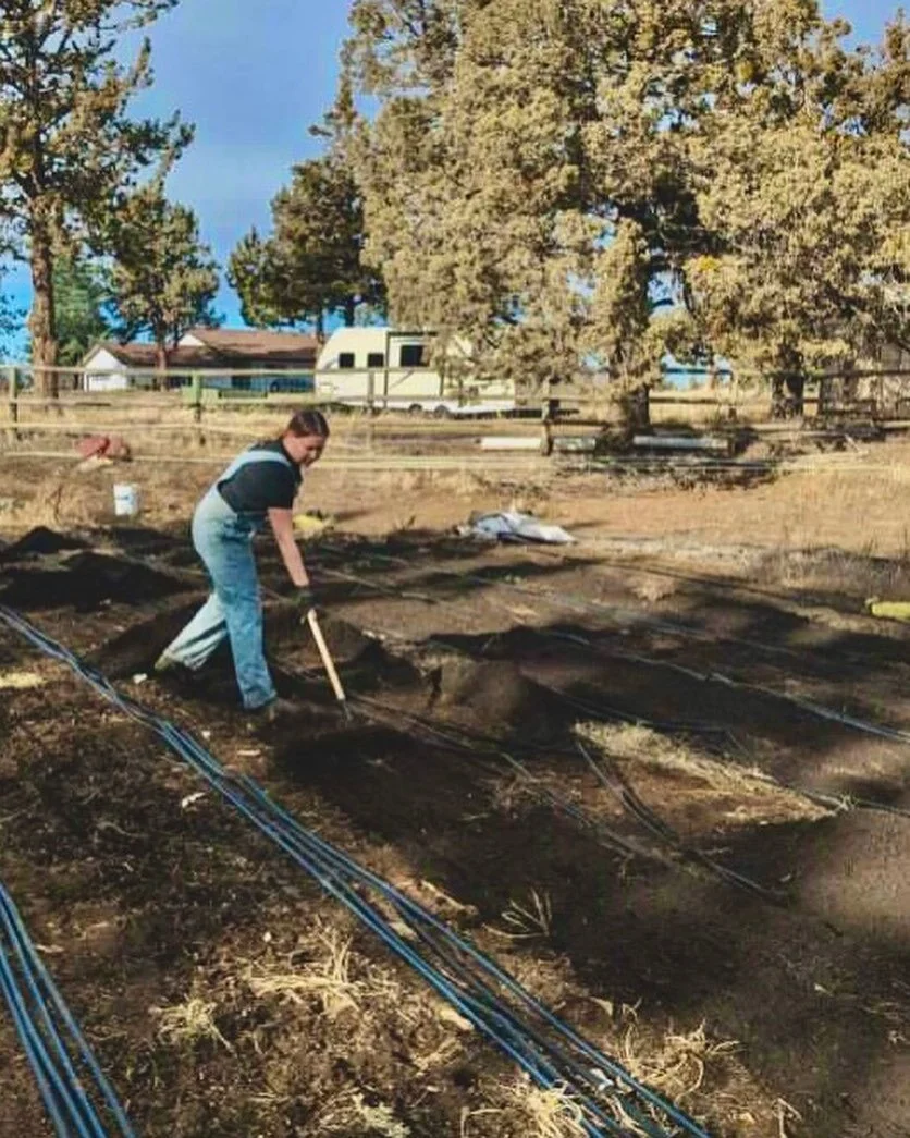 Fibonacci Farm - An urban, small CSA and Market Farm providing ...