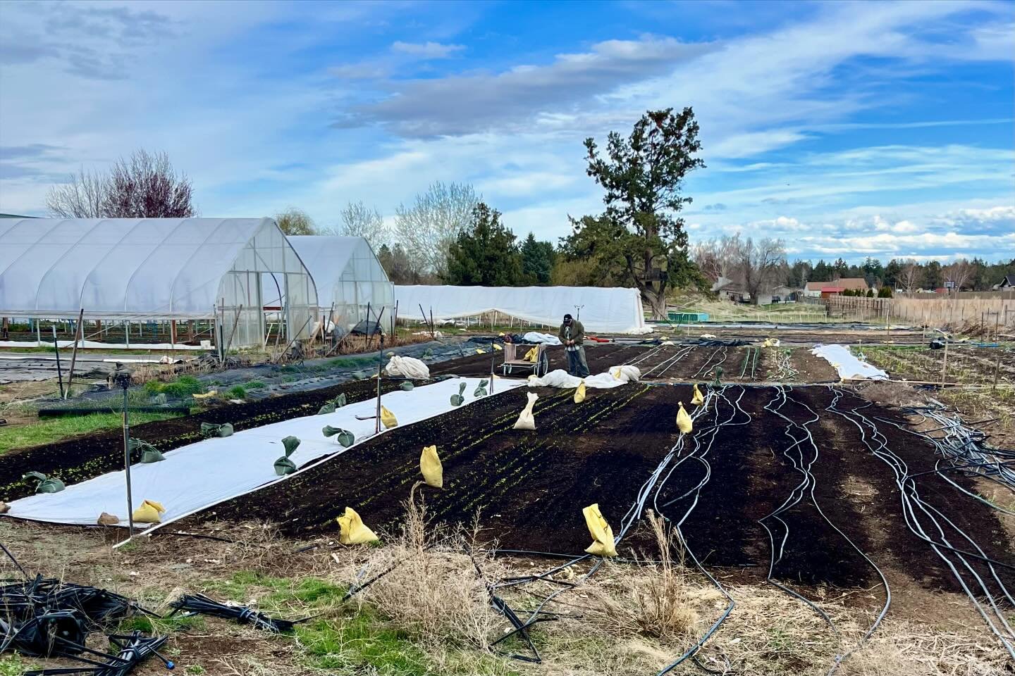 Fibonacci Farm - An urban, small CSA and Market Farm providing ...