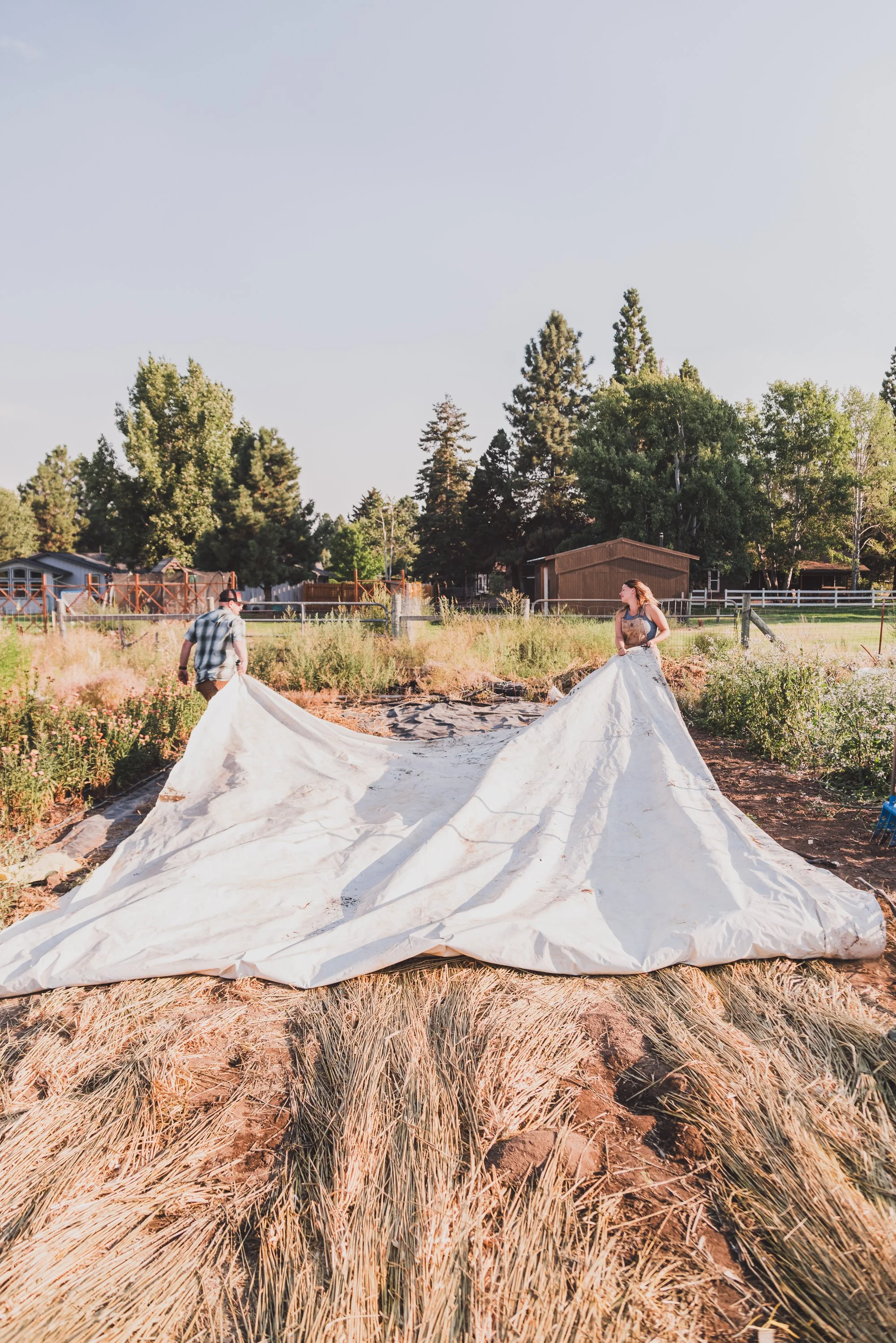 Fibonacci Farm - An urban, small CSA and Market Farm providing ...