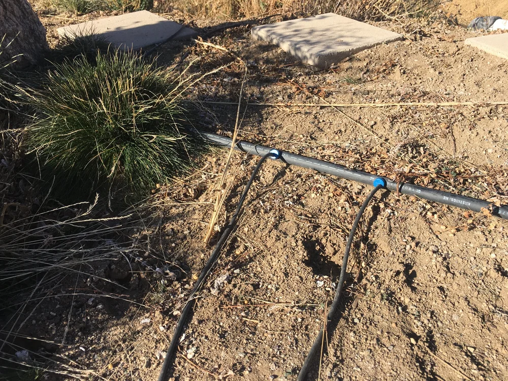 Drip Irrigation — Brady's West