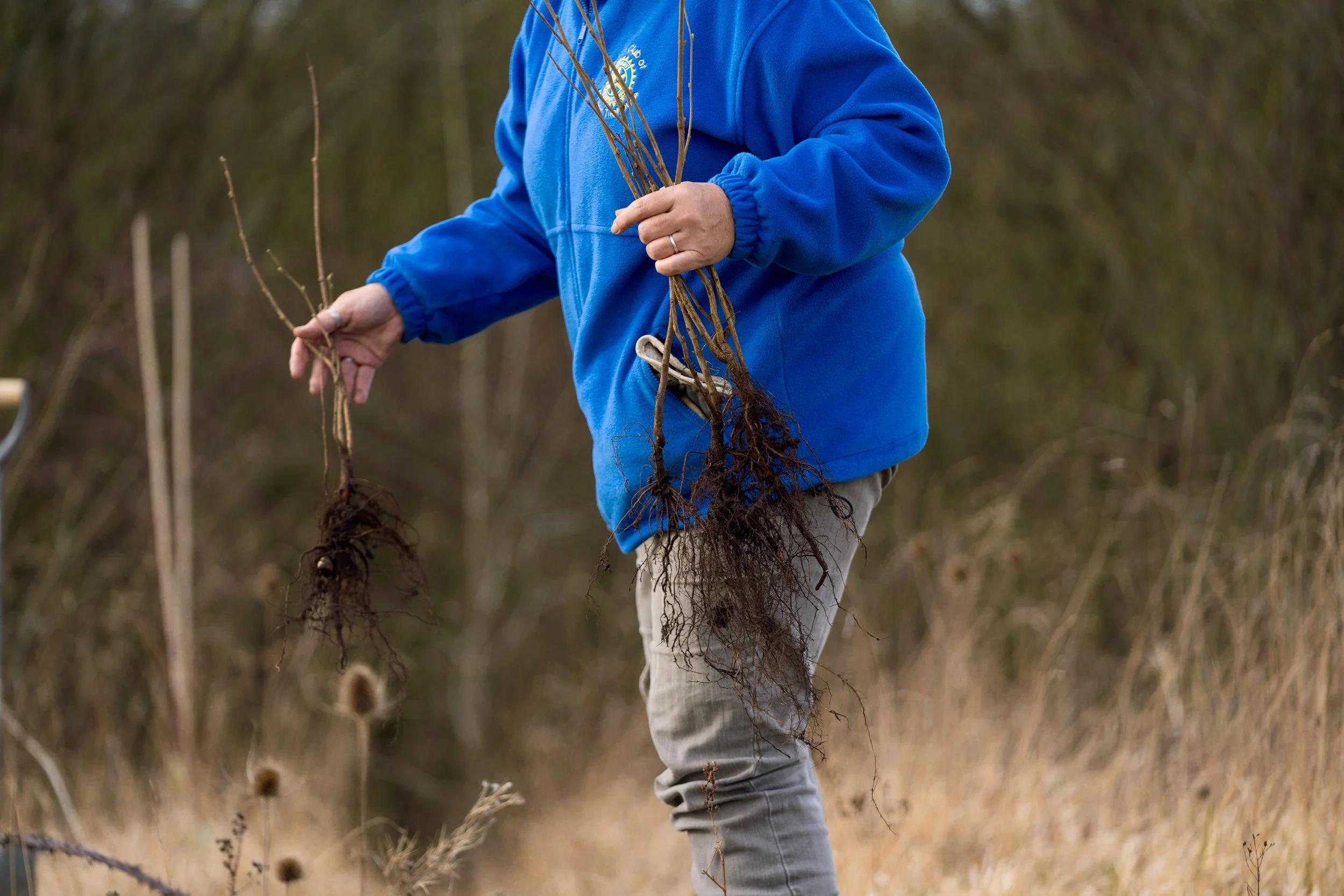 Hedgerow Planting — Nathaniel Rosa - Photographer & Filmmaker - South ...