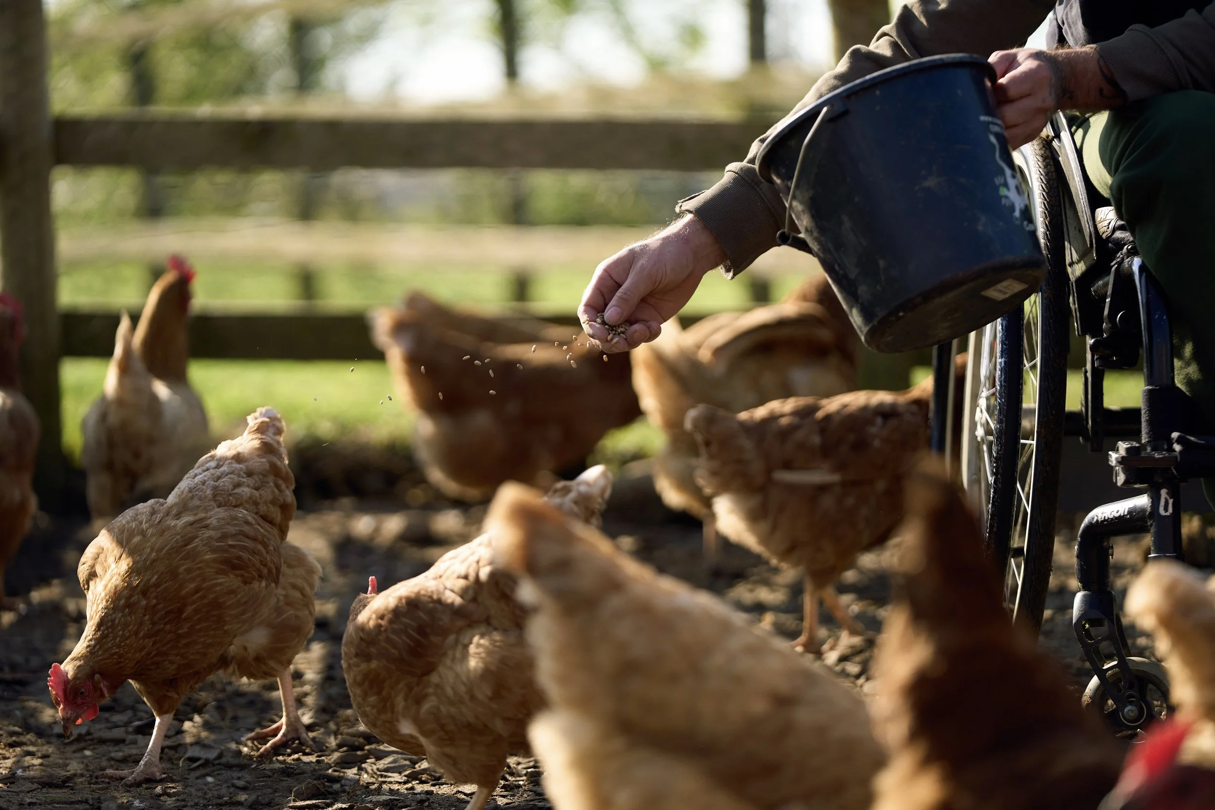 The Wheelchair Farmer — Nathaniel Rosa - Hertfordshire Photographer ...
