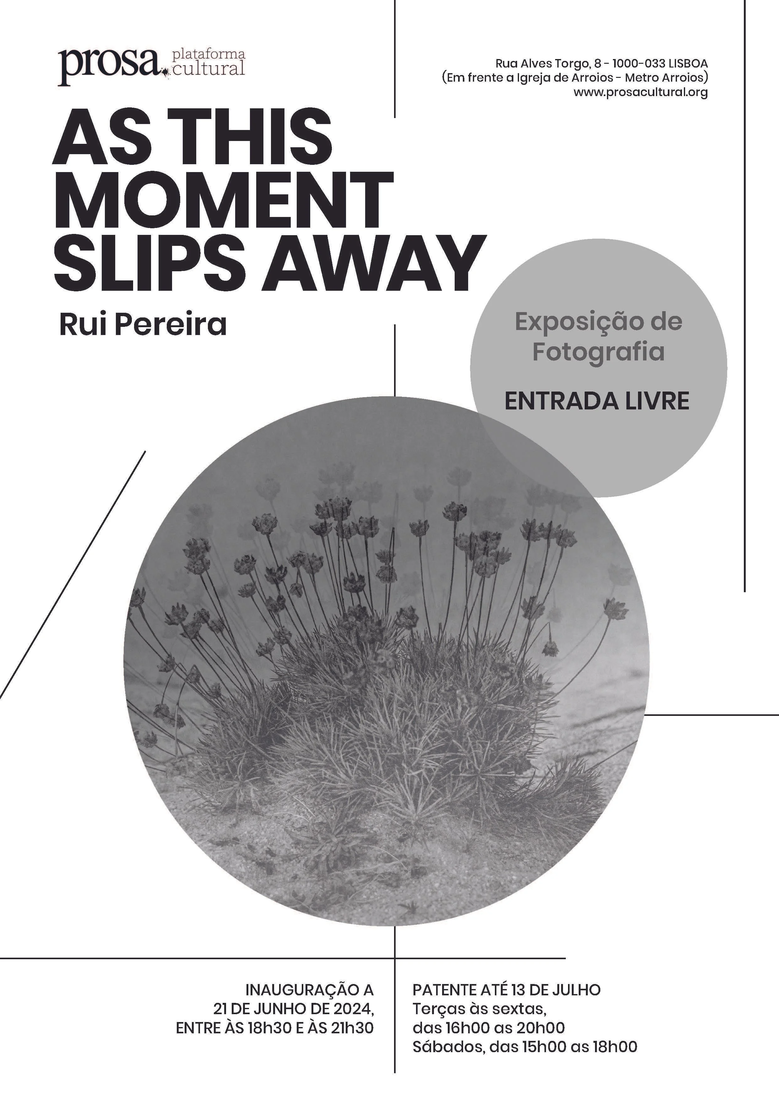 Prosa Plataforma Cultural