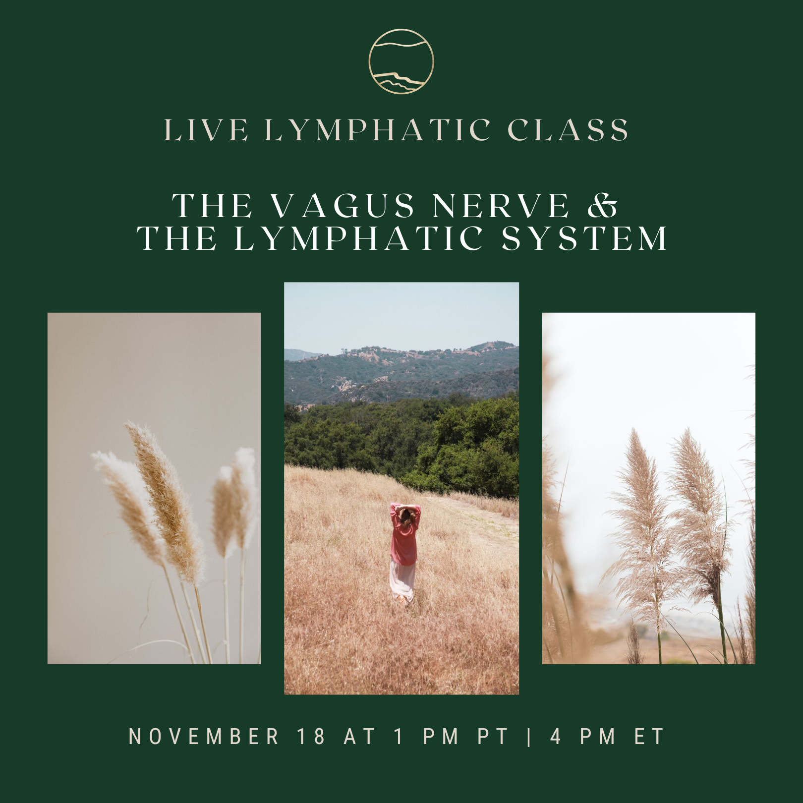 The Vagus Nerve & The Lymphatic System — The Lymphatic Message