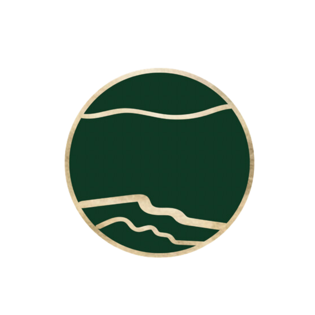 Lymphatic Basics | LIVE Class with Lisa Levitt Gainsley — The Lymphatic ...