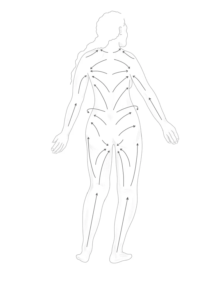 Handouts — The Lymphatic Message