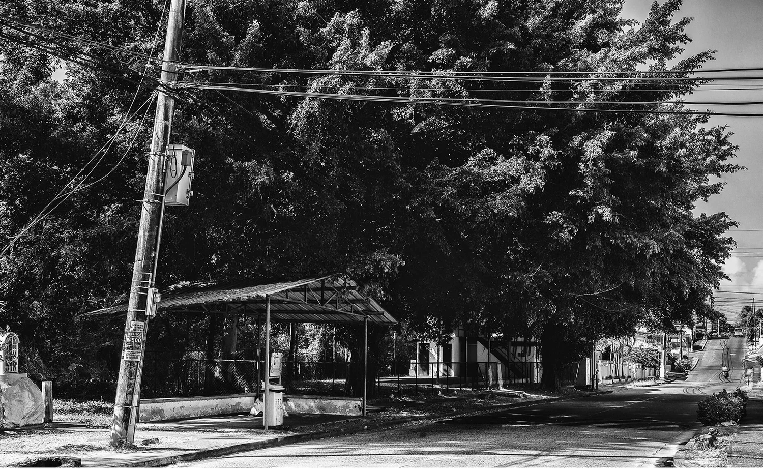 CERRO VIENTO — jeffersontrinidad