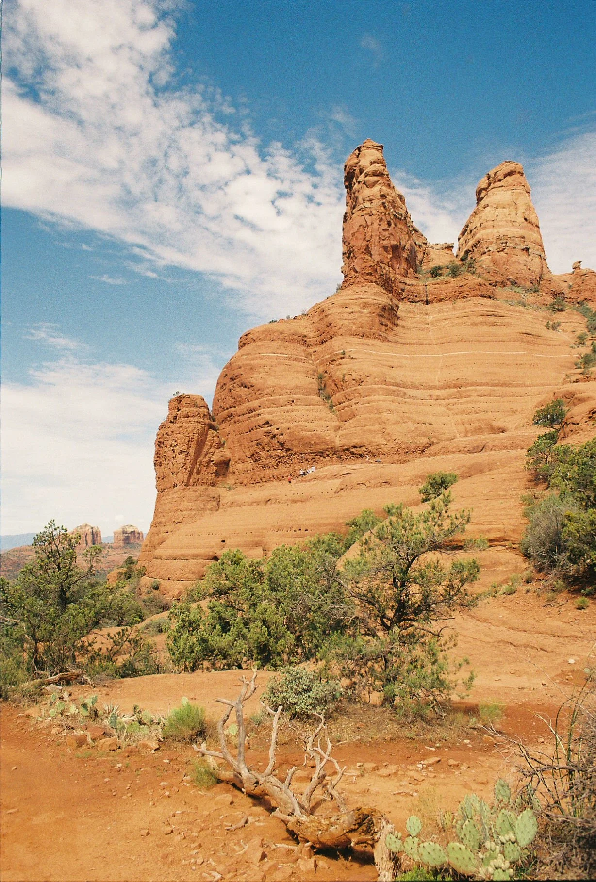 Our next featured Gather Academy Artist from our 52-Week Challenge Dec ...