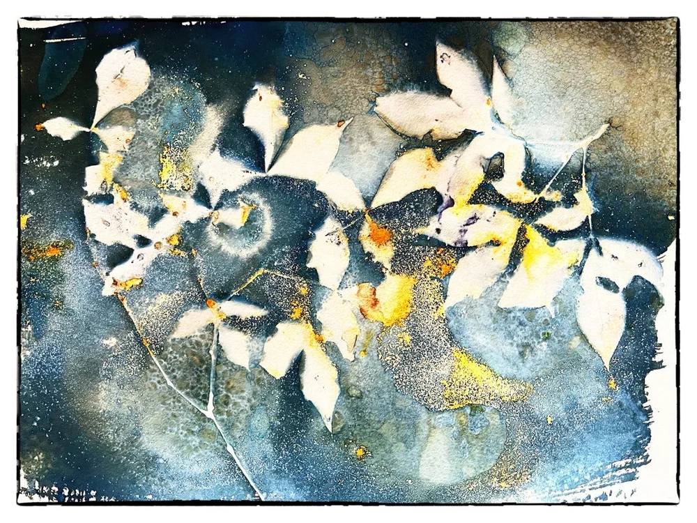 Creating a Cyanotype with Judith McDermott — Gather Academy online ...