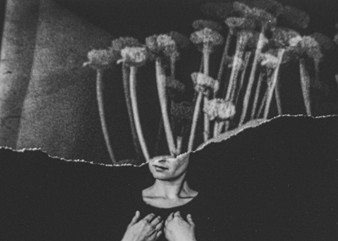 How do you tell a story through a photographic series? How do you use ...