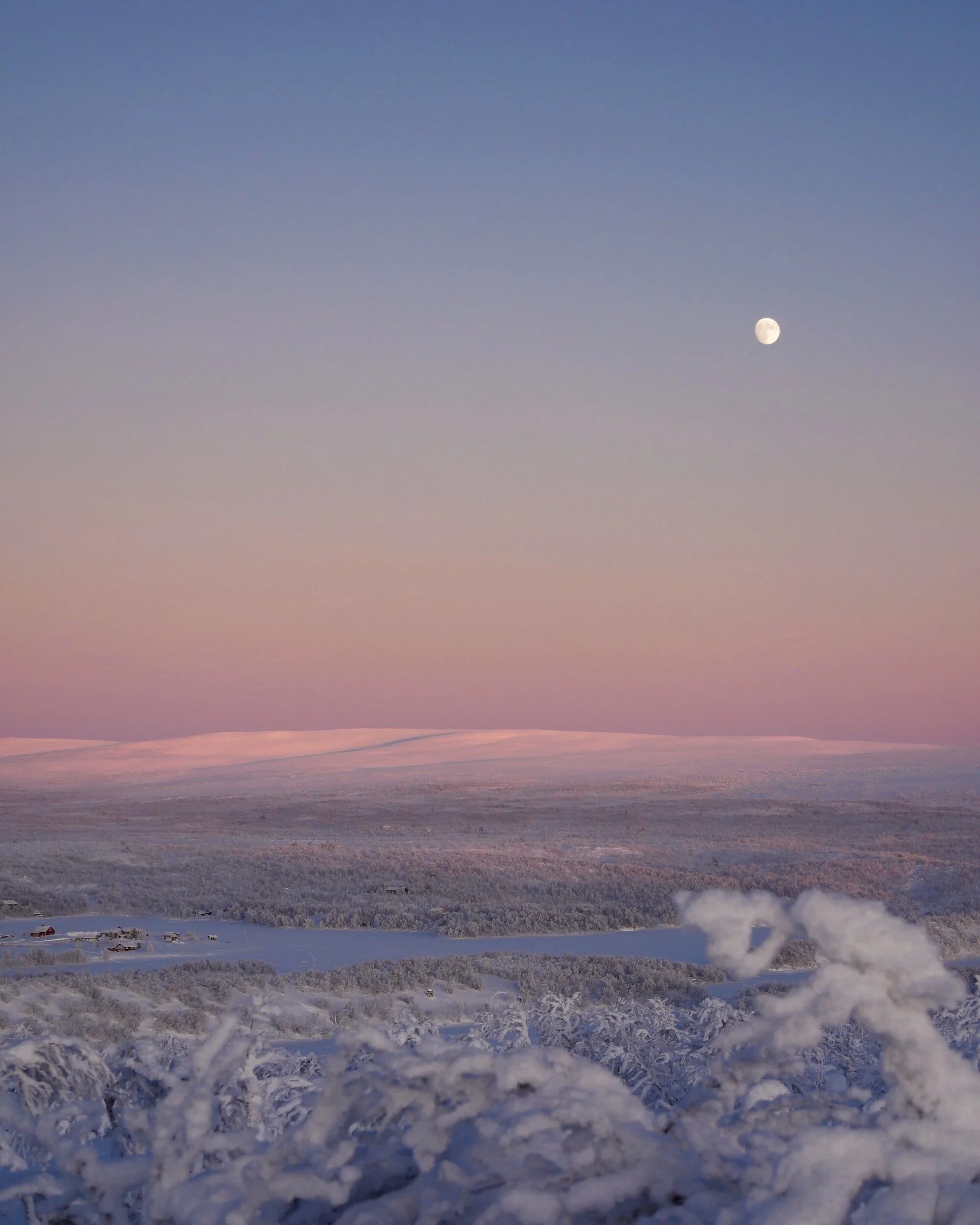 submissions — Aster Lit