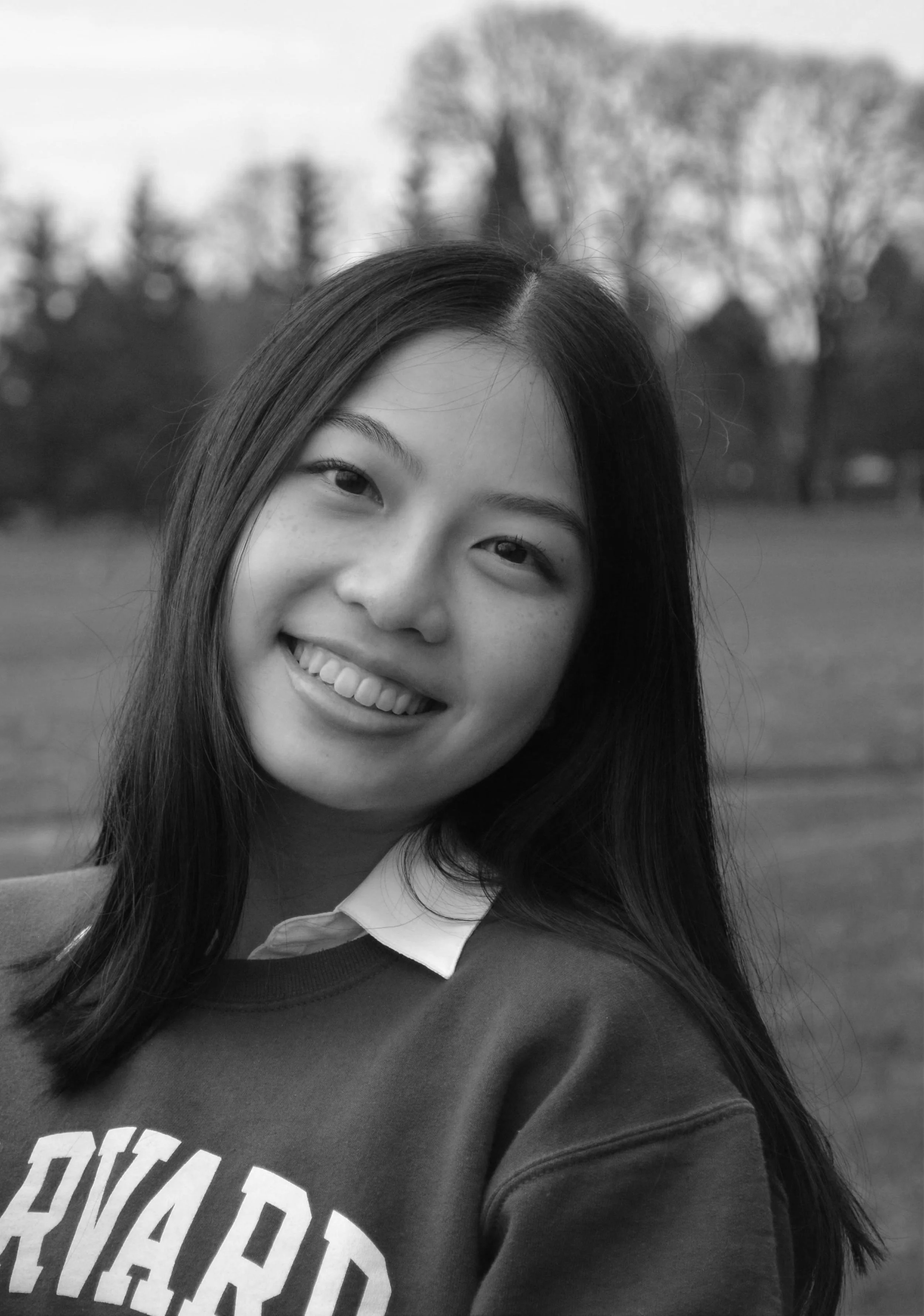 masthead — Aster Lit