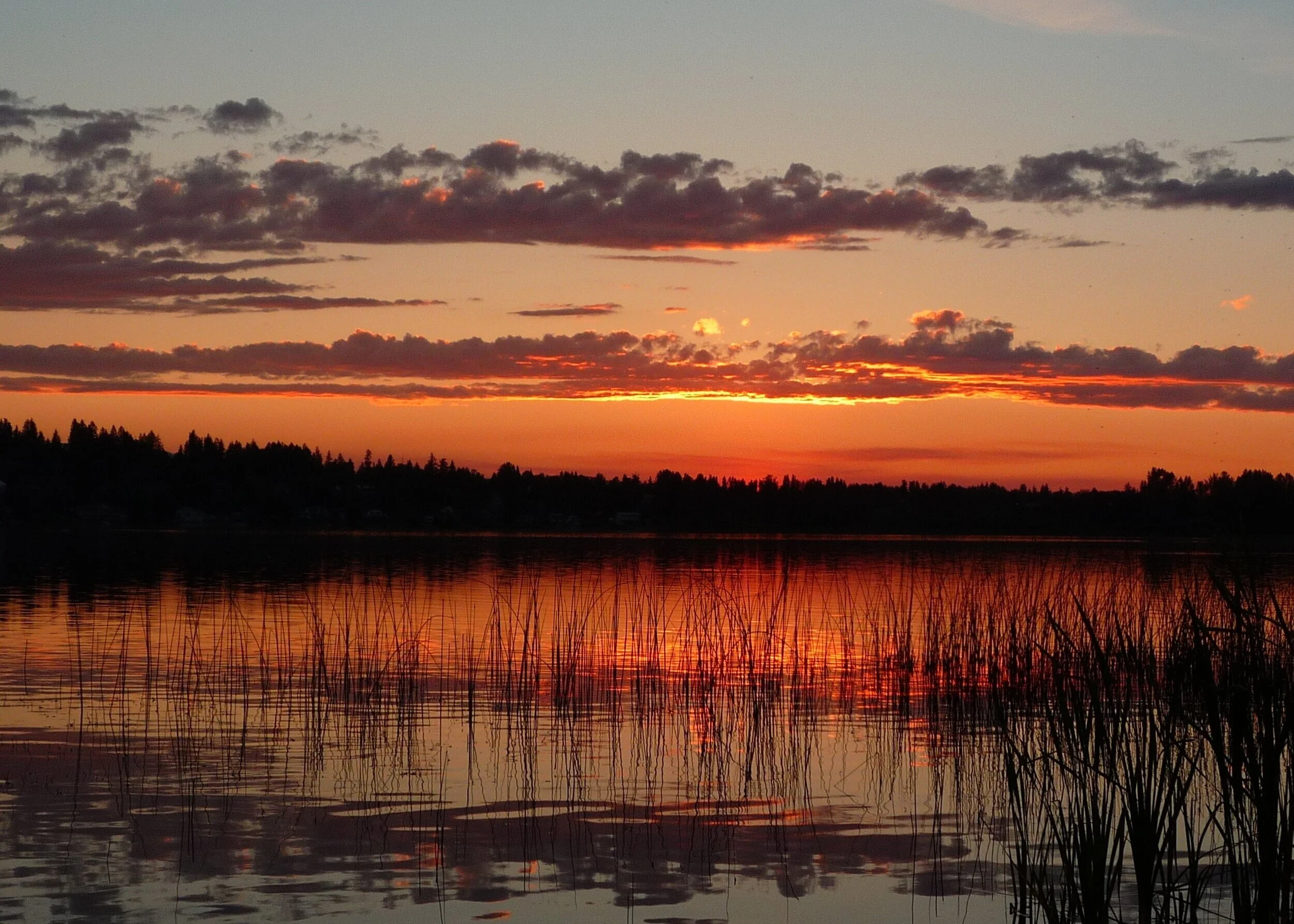 ROBERTS ROOST RESORT