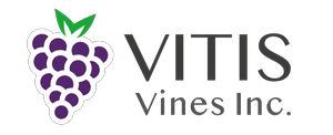 Vitis Vines Inc.