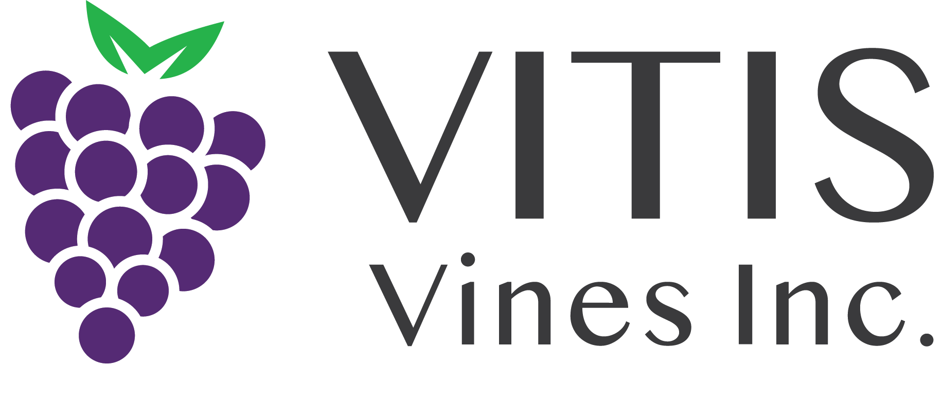 Buy Vines — Vitis Vines Inc.