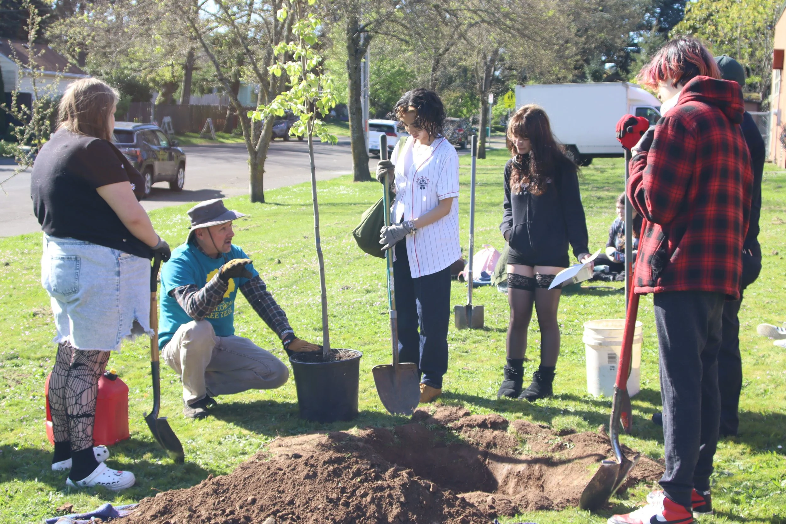 New trees added to Learning Landscapes at former Meek School ...