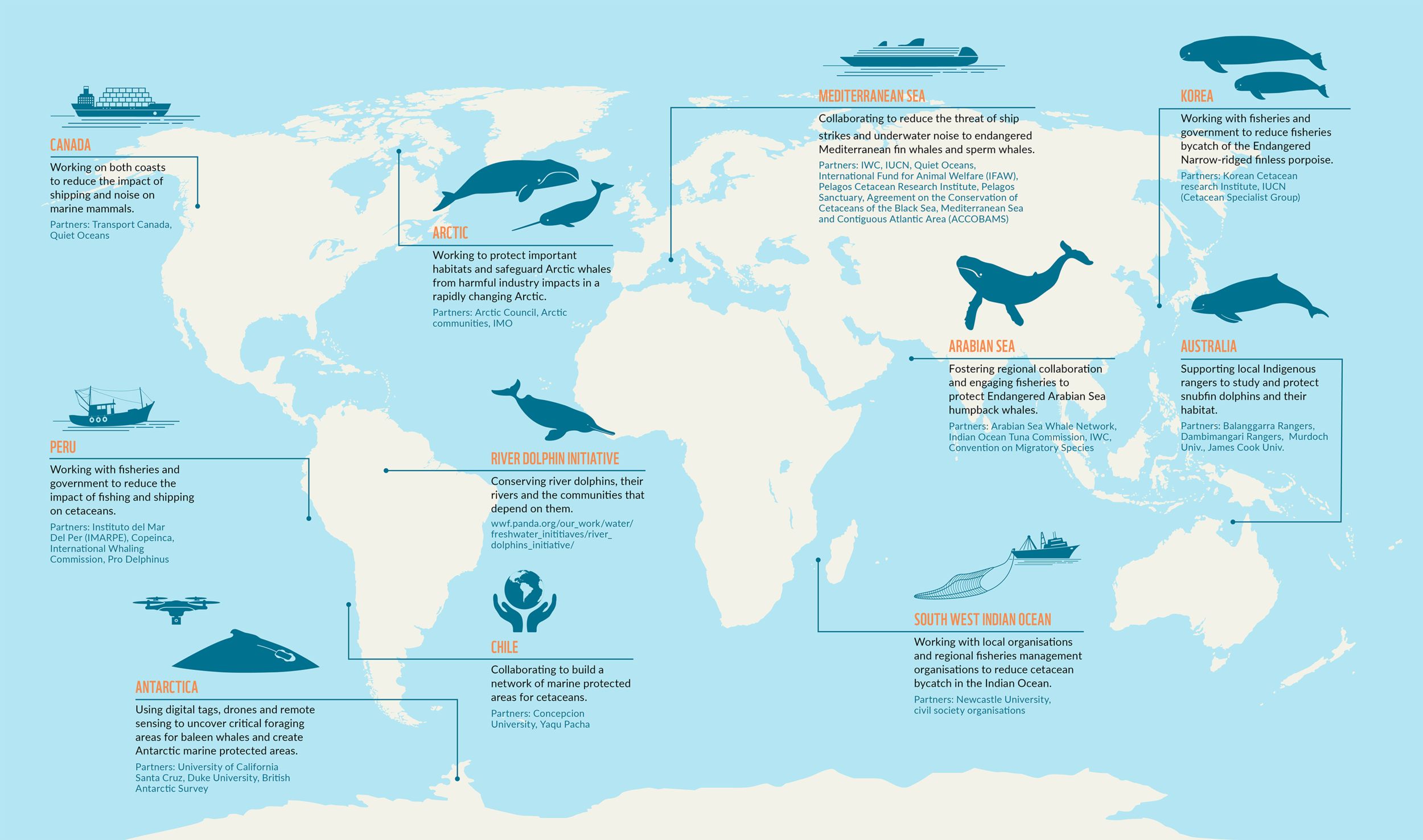 WWF Protecting Whales & Dolphins Initiative — WWF Protecting Whales ...