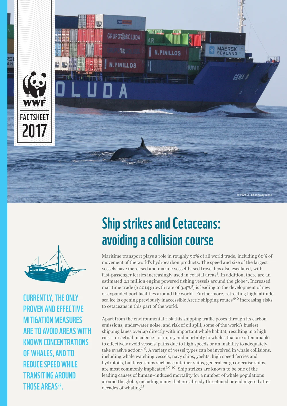 Ship strikes and Cetaceans: avoiding a collision course (2017) — WWF ...