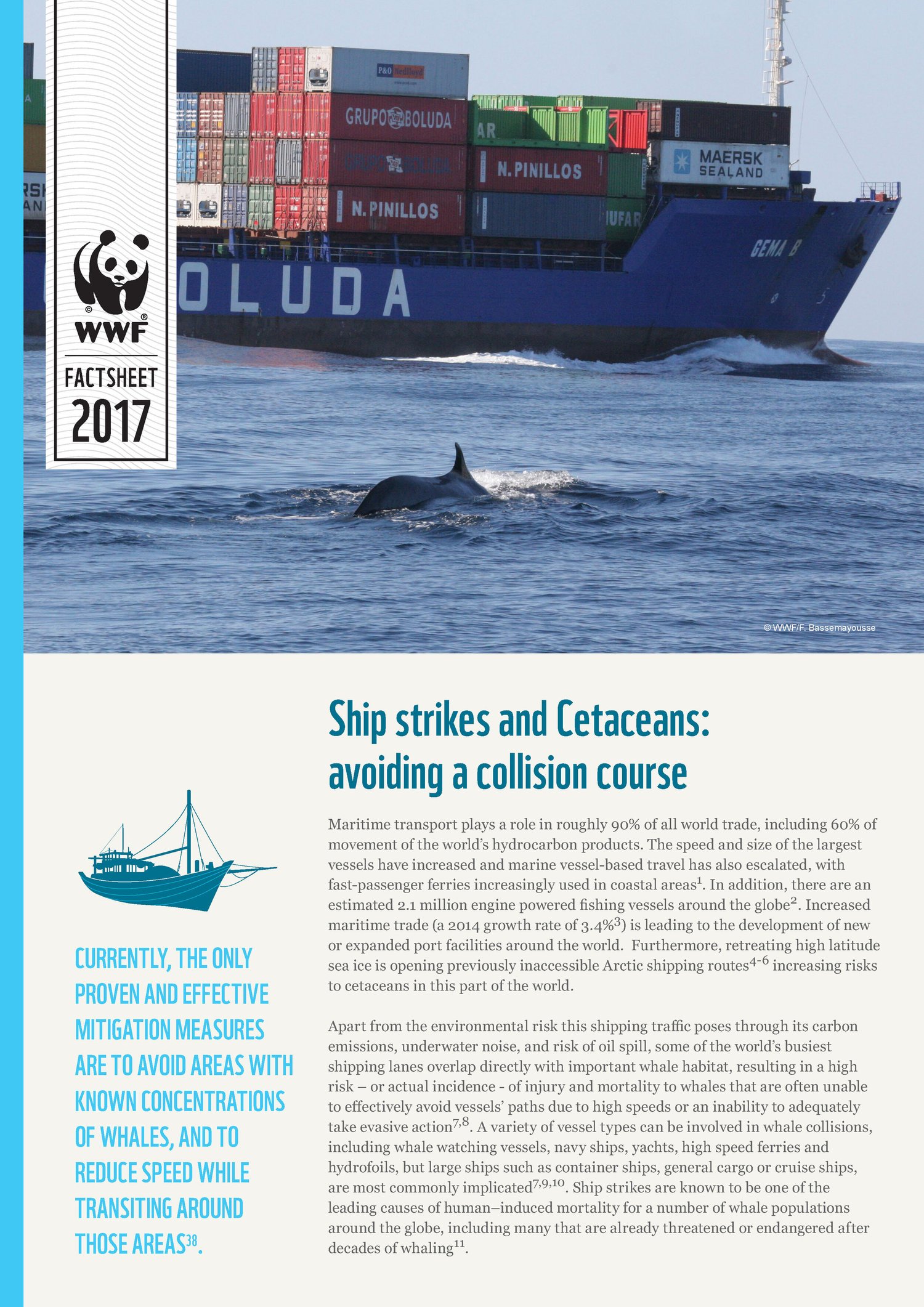 Ship strikes and Cetaceans: avoiding a collision course (2017) — WWF ...
