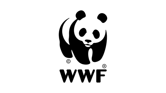Protecting Blue Corridors — WWF Protecting Whales & Dolphins Initiative