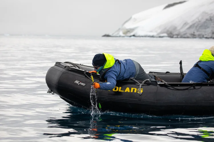 Whales’ frozen lifeline - polar feeding grounds — WWF Protecting Whales ...