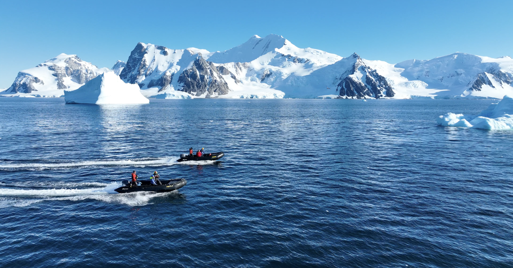 Uncovering whale superhighways in the Southern Ocean — WWF Protecting ...