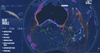 Bringing whale superhighways to life - a new digital platform a game ...