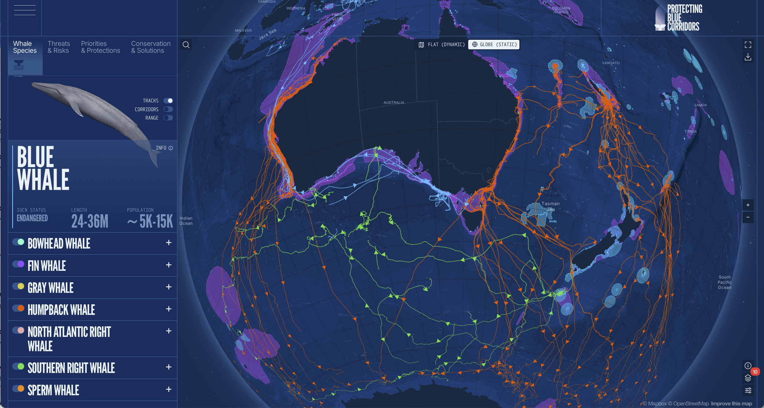 Bringing whale superhighways to life - a new digital platform a game ...