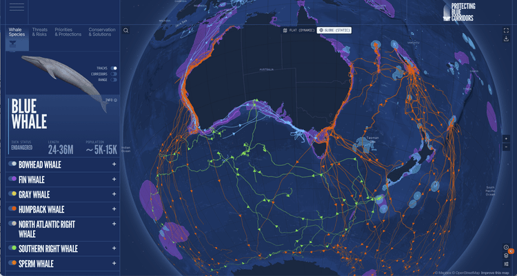Bringing whale superhighways to life - a new digital platform a game ...