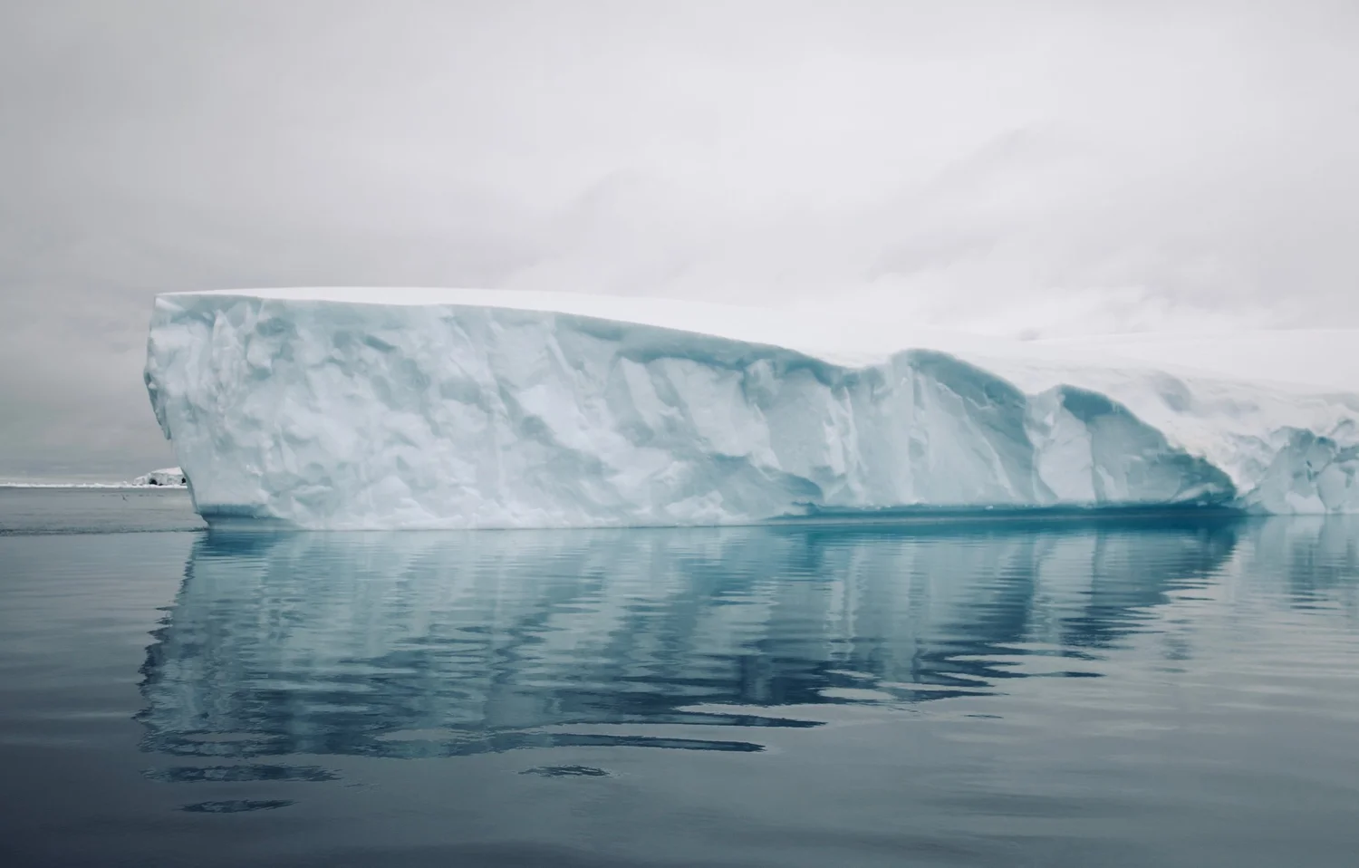 Whales’ frozen lifeline - polar feeding grounds — WWF Protecting Whales ...