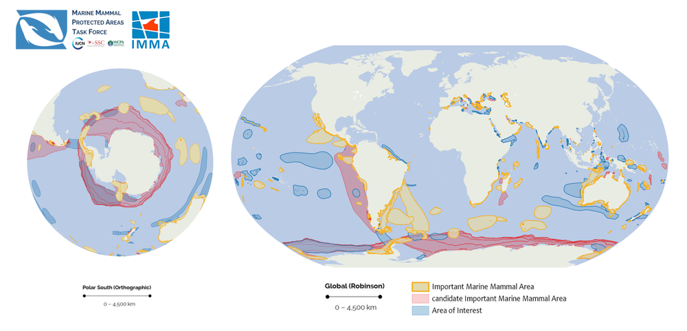 International experts map critical habitats for whales and dolphins in ...