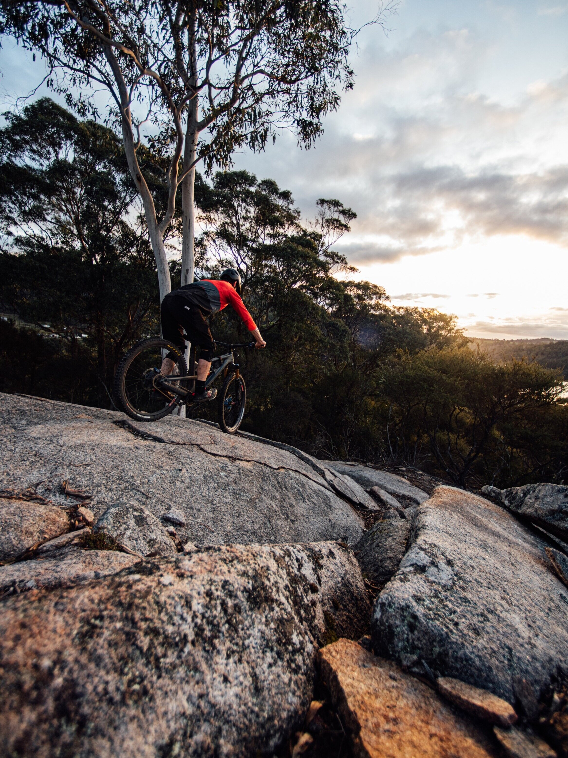 MTB Tours — Into The Wild | Premium Mountain Bike Tours Tasmania