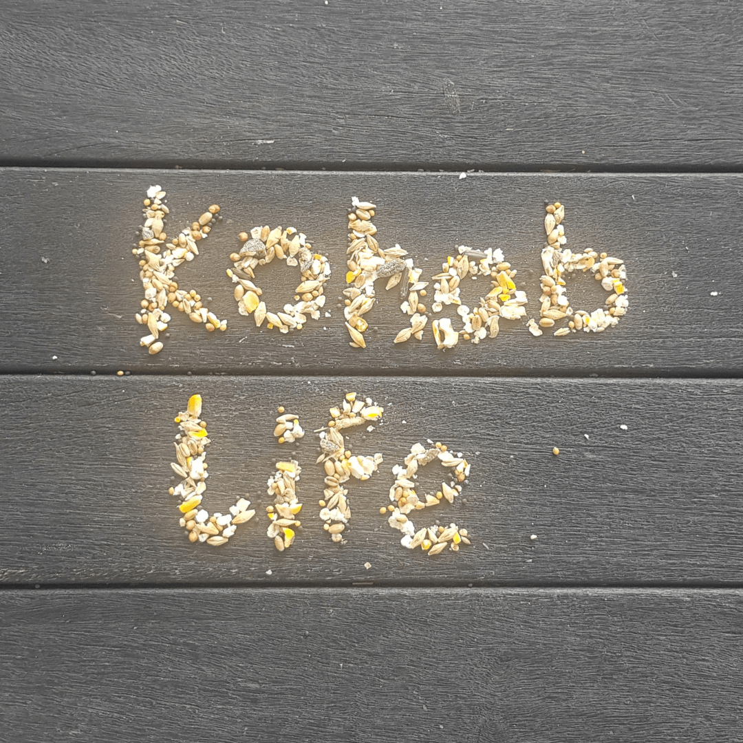 Kohab Info. Everything you need to know about Kohab and NZ birds. — Kohab